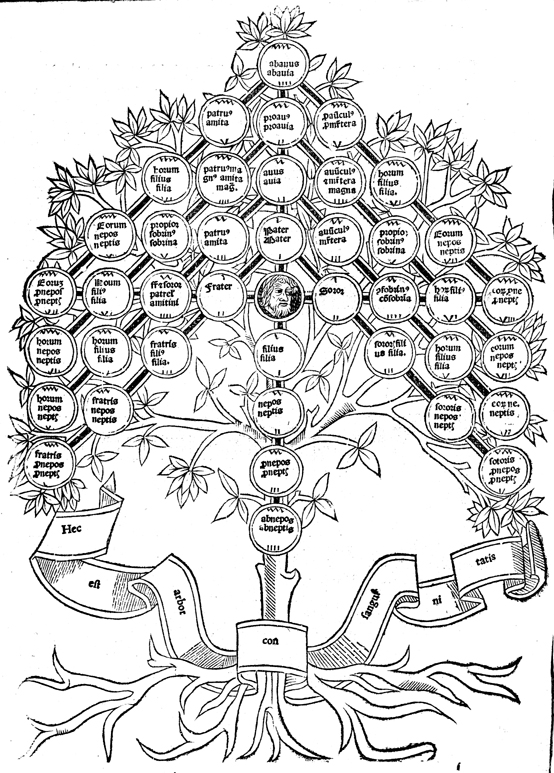 Habsburg Family Tree Pitts Digital Image Archive Emory, 41% OFF